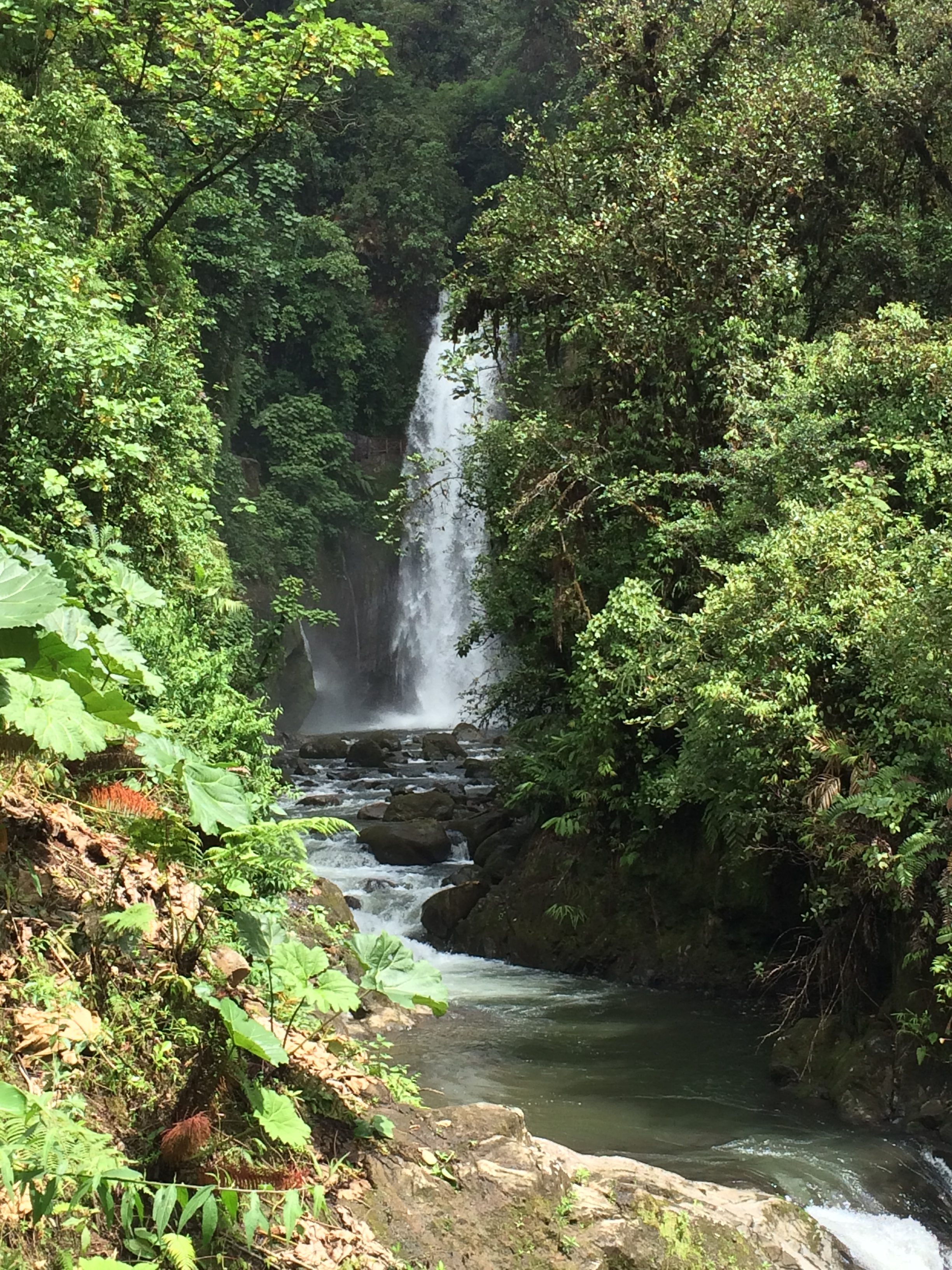 Costa Rica – Beaches, Jungle, and Waterfalls - Sea Pursuit