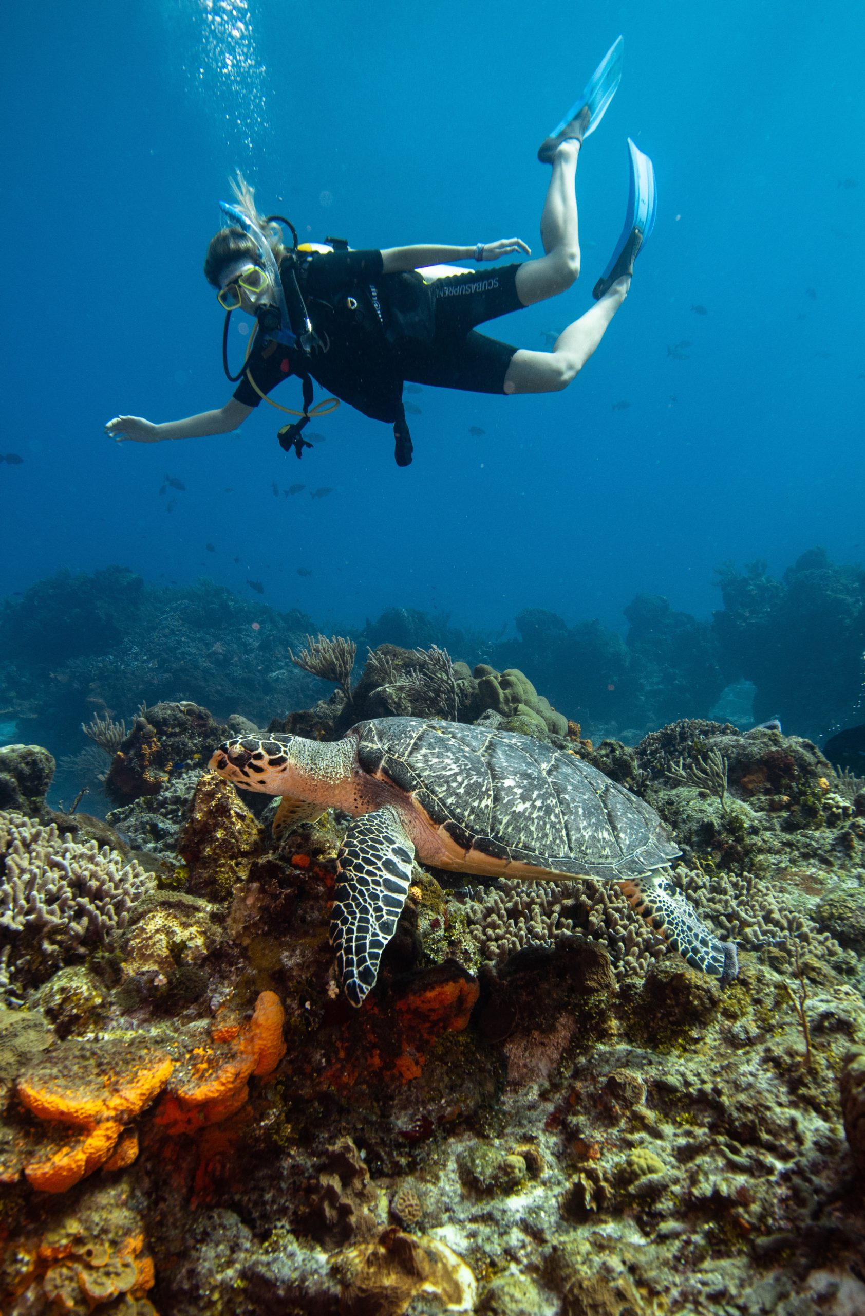 10 days in Riviera Maya itinerary - Sea Pursuit